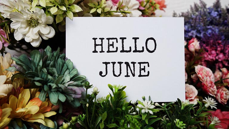 John Taylor Collegiate - John Taylor Collegiate